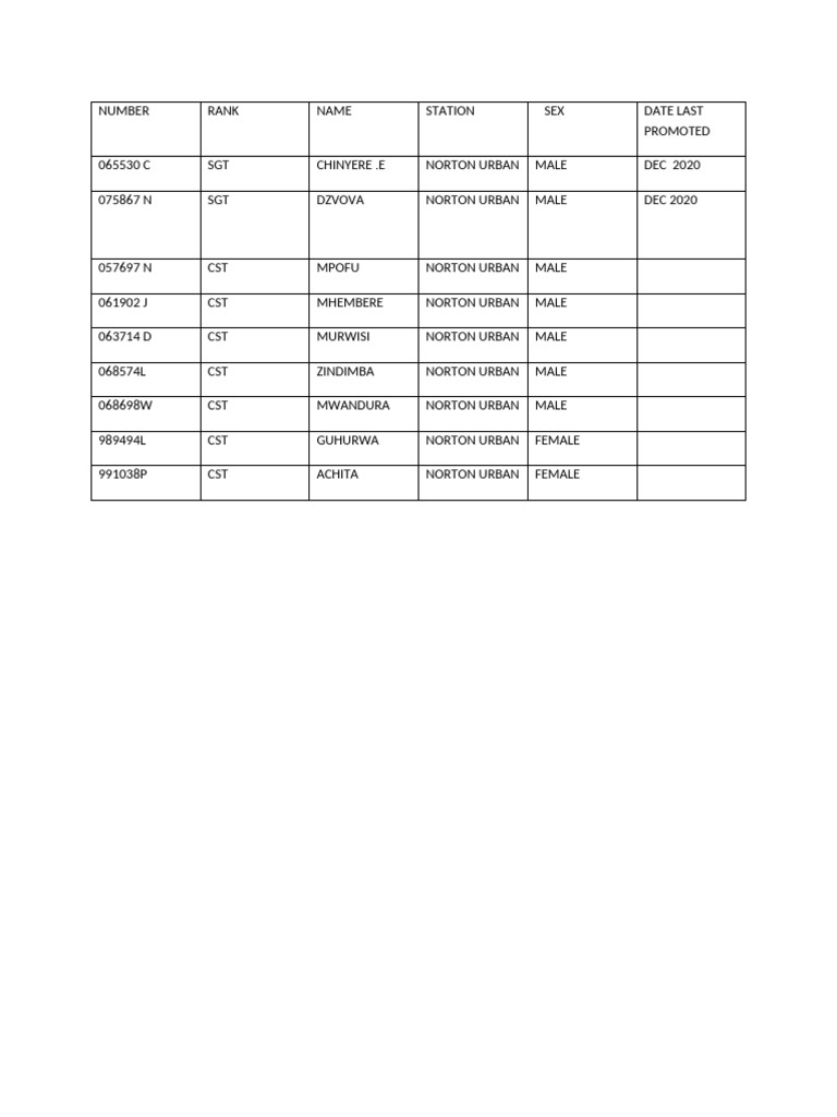 Norton Urban Due Promotion | PDF