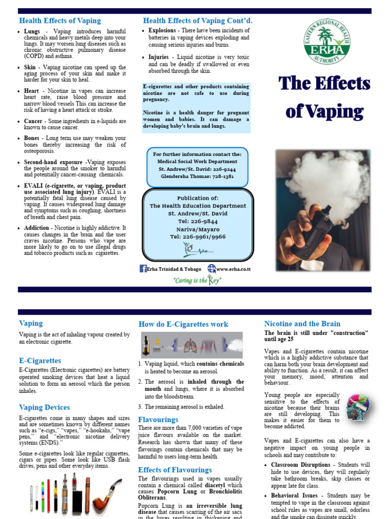 The Effects of Vaping | PDF