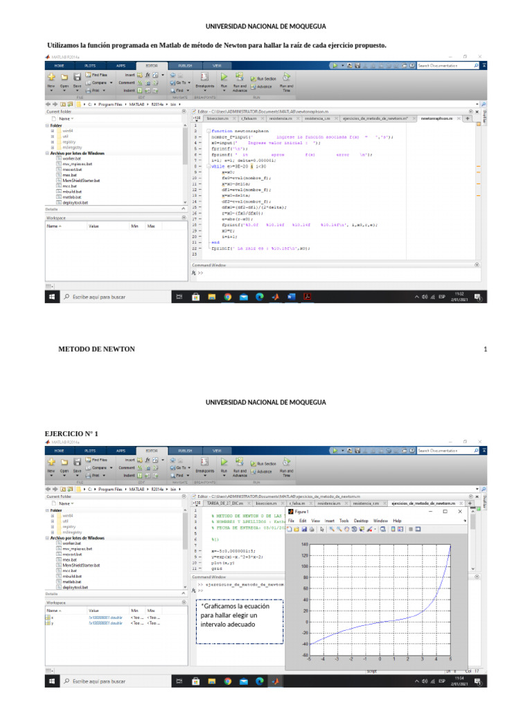 Método de Newton en Matlab | PDF