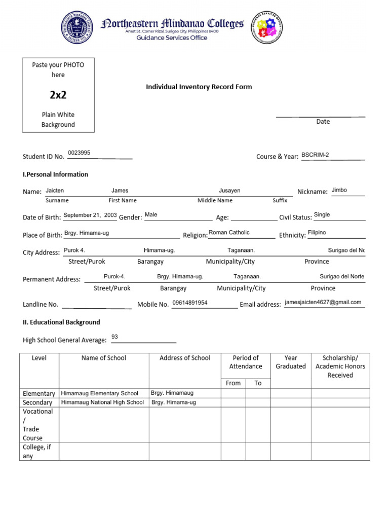 Individual Inventory Record Form | PDF