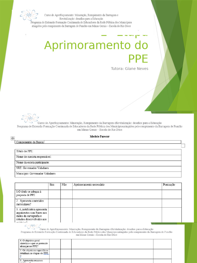 2 Etapa Aprimoramento Do PPE: Tutora: Giane Neves | PDF