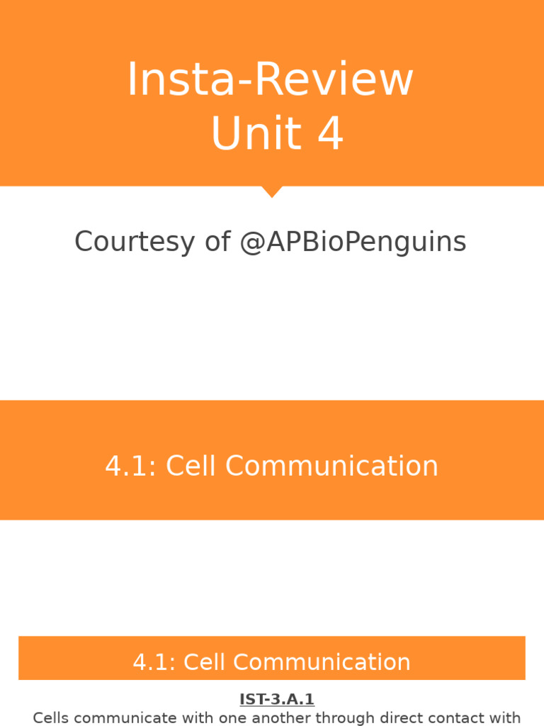 Unit 4 Insta-Review 2020-2021 | PDF