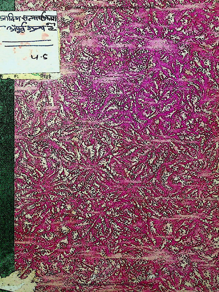 Satyartha Prakash 1974 Delhi - Anant Ram Aur Sathe Ke Saddharma ...