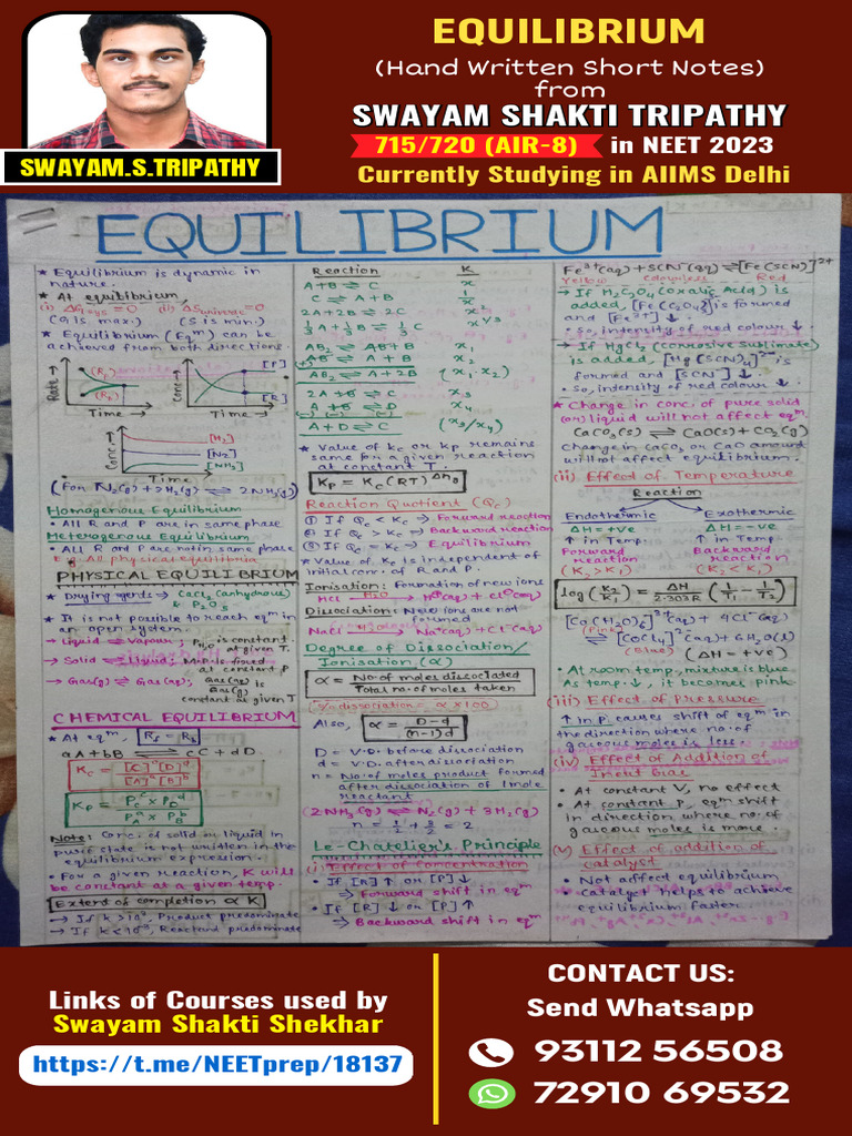 Equilibrium Short Notes | PDF