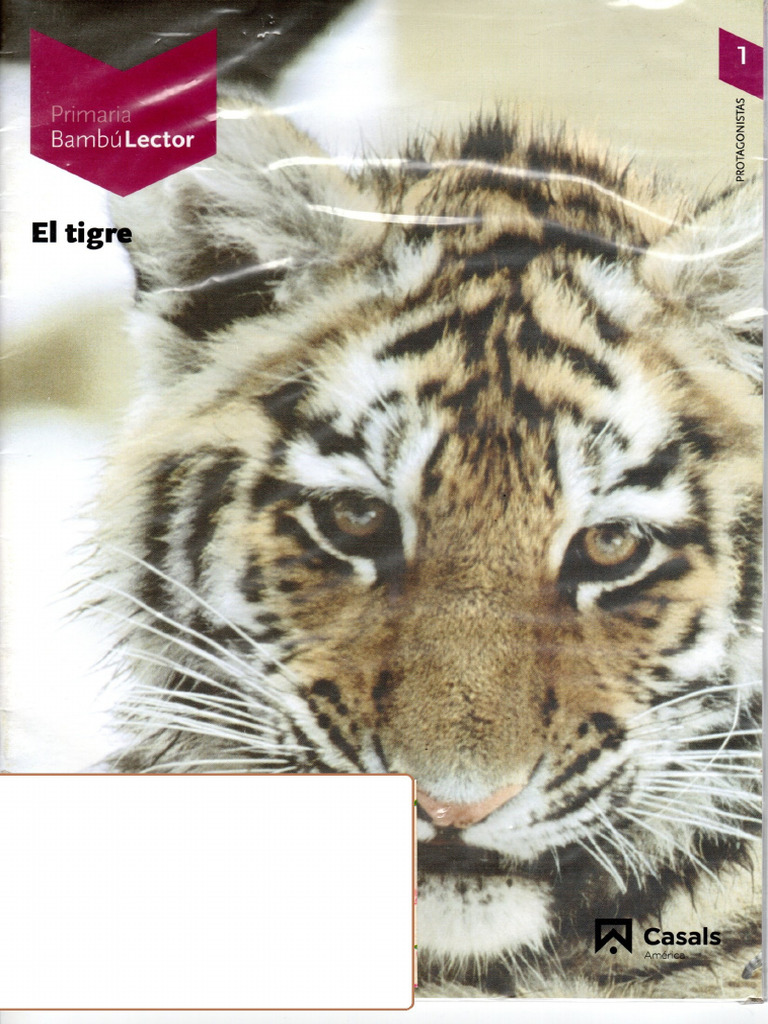 Cartilla El Tigre | PDF