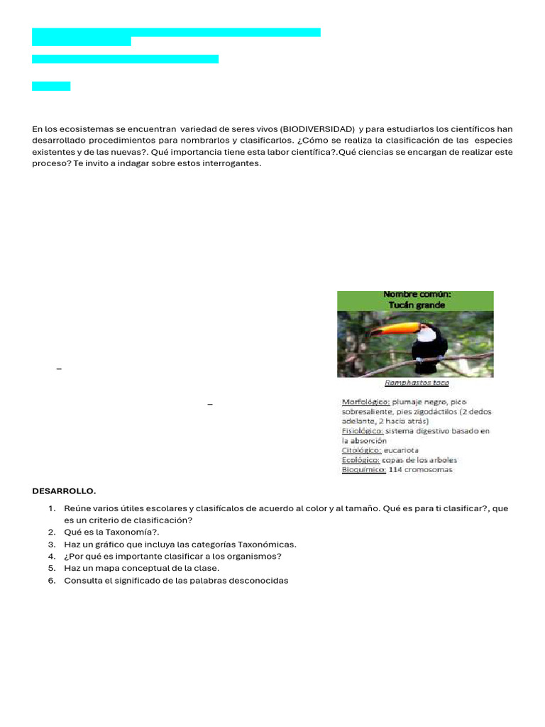 GUIA cLASIFICACION 1 HOJA | PDF