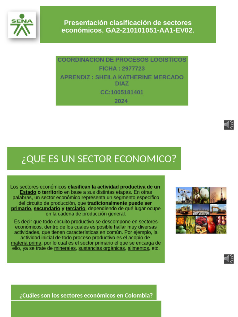 Clasificación de Sectores Económicos en Colombia | PDF | Turismo | Política