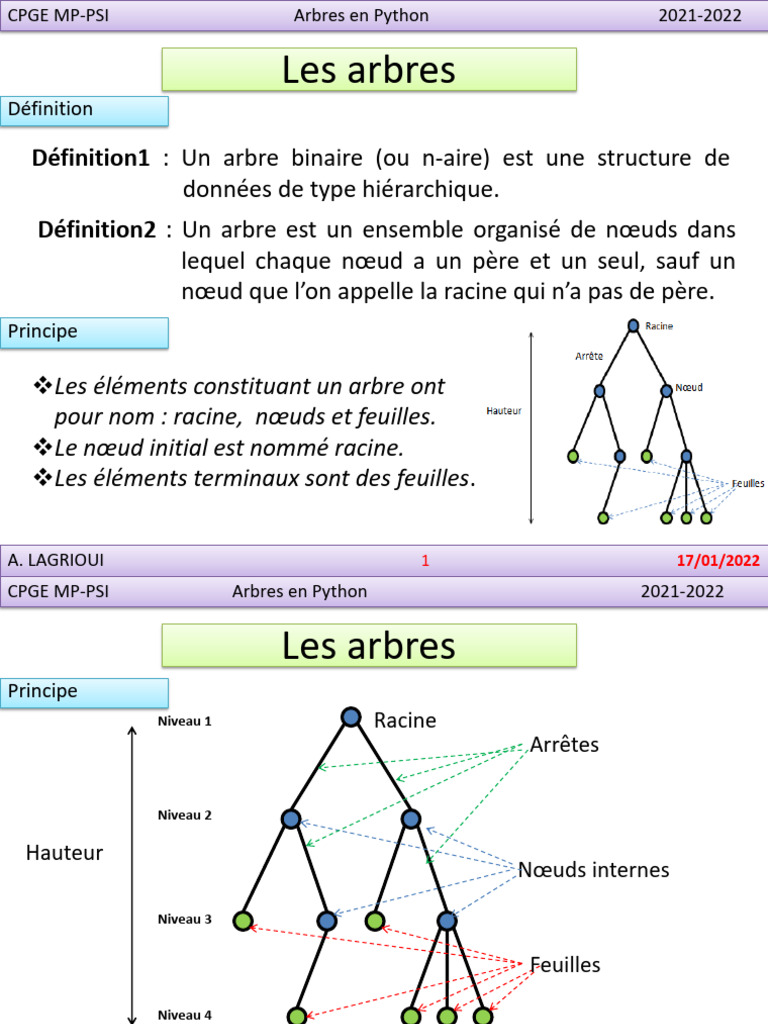 Les Arbres en Python - 2022 | PDF