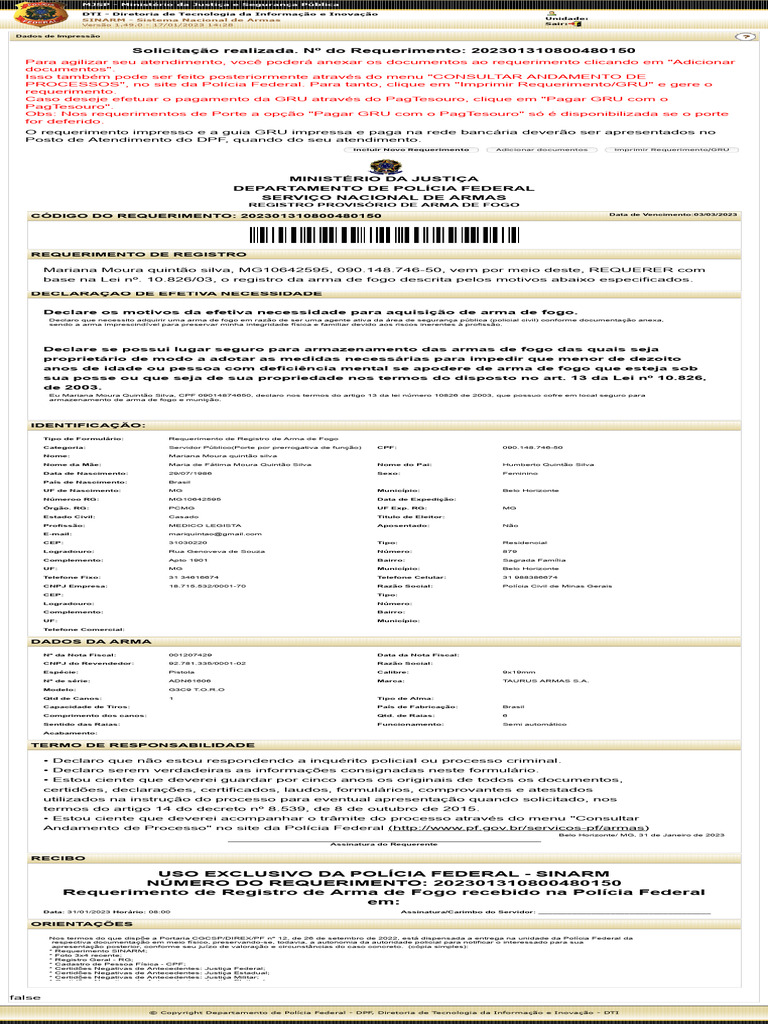 SINARM - Sistema Nacional de Armas | PDF