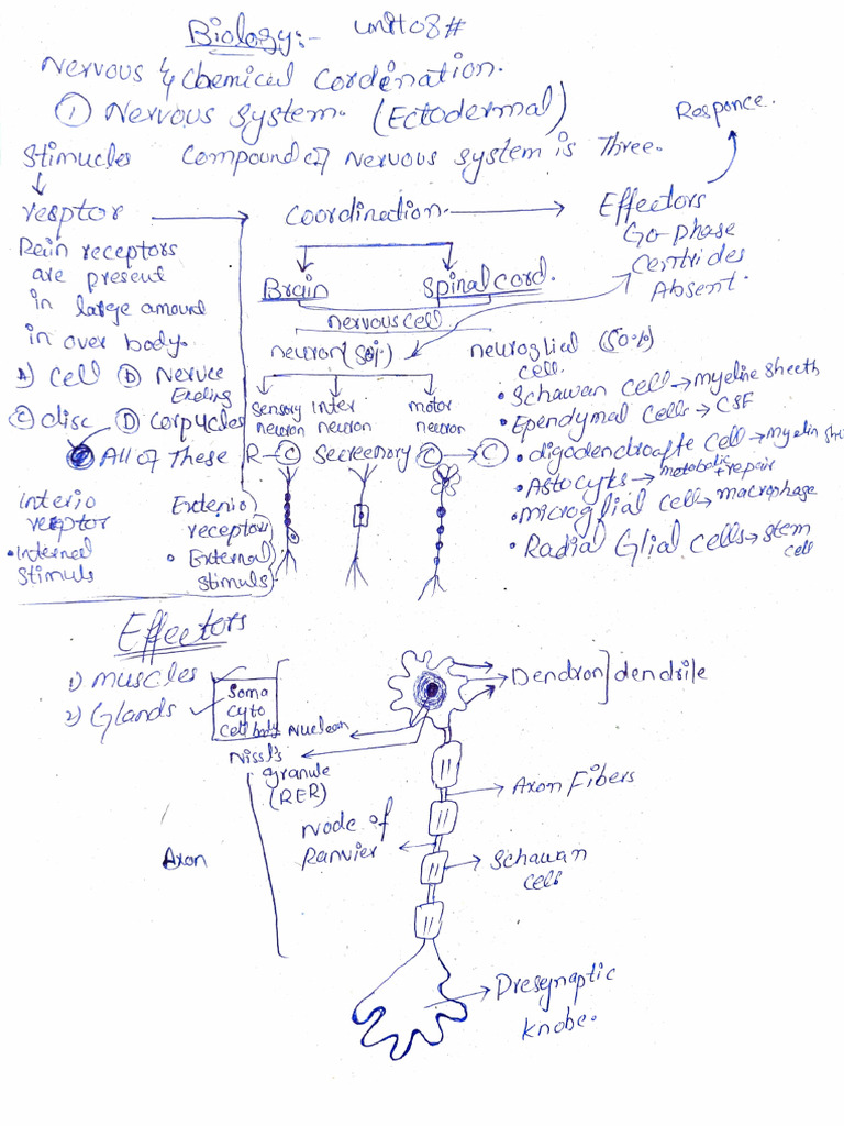 CC Bio | PDF