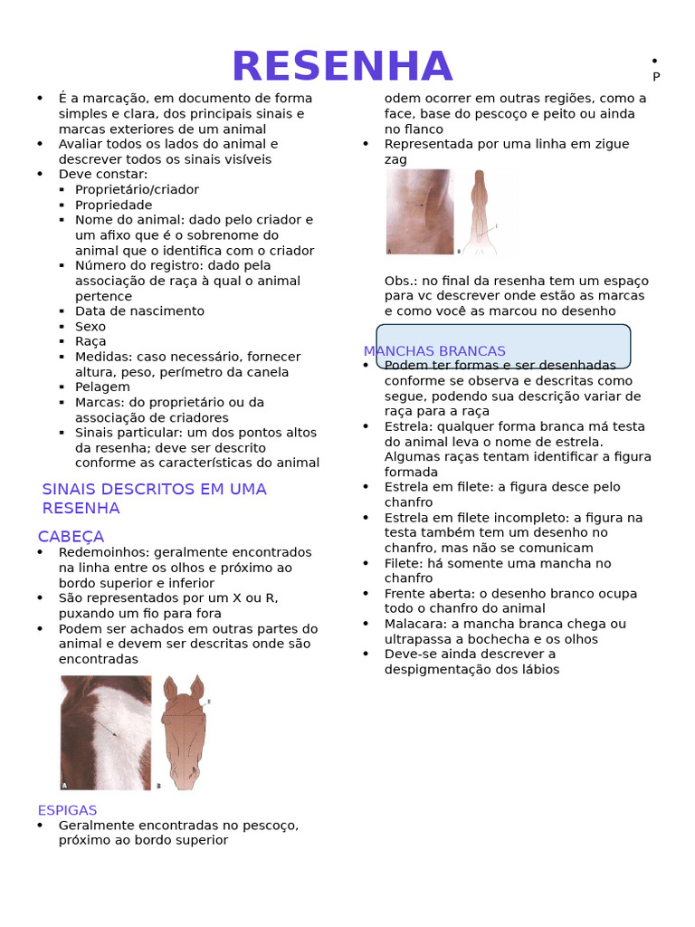 Resenha de Equinos | PDF