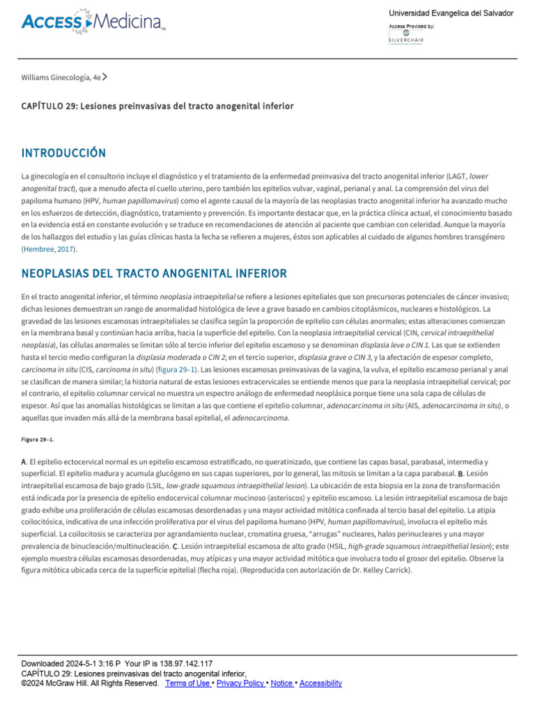 CAPÍTULO 29 Lesiones Preinvasivas Del Tracto Anogenital Inferior | PDF