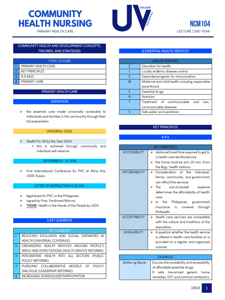 Community Health Nursing Strategies | PDF | Medicine | Health Care