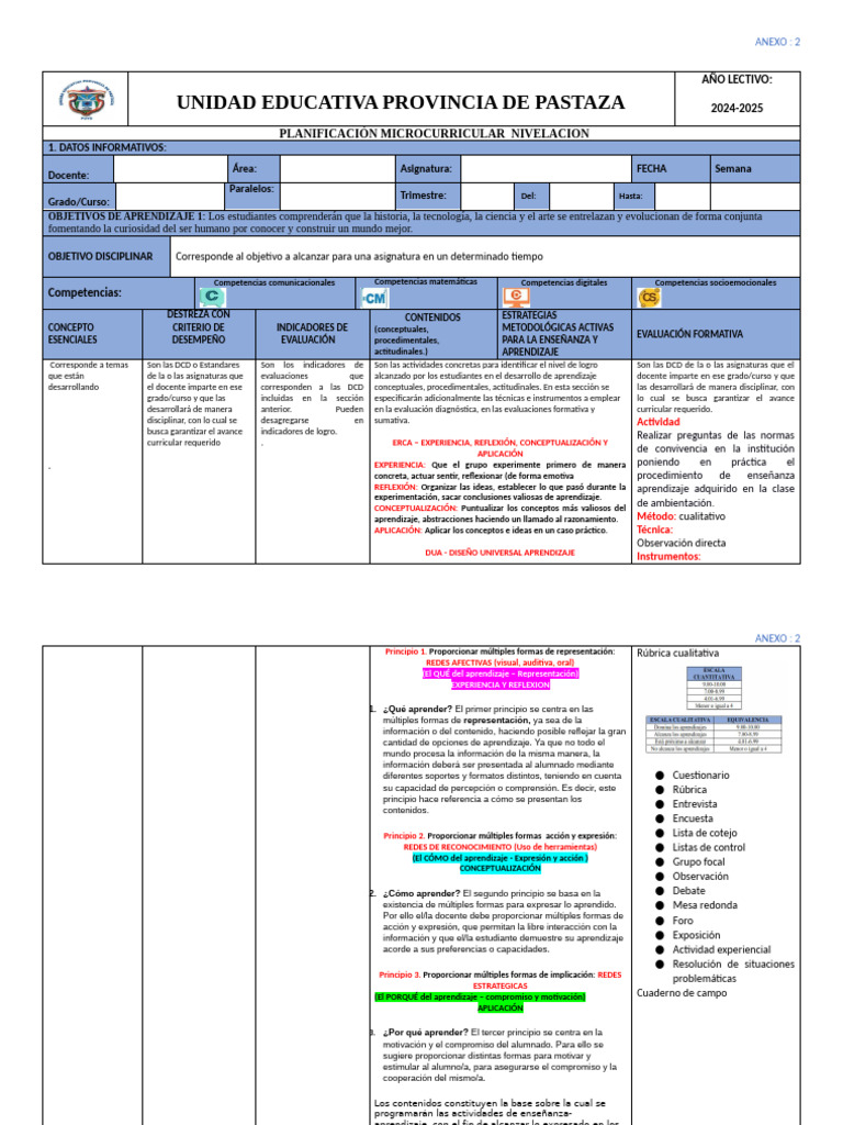Formato PCA 24 - . 25 | PDF