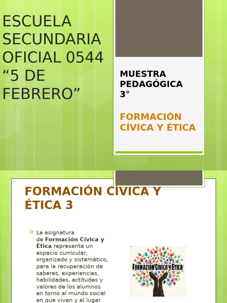 MUESTRA PEDAGÓGICA FCE 3° | PDF