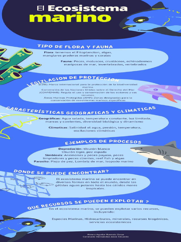 Ecosistema Marino | PDF