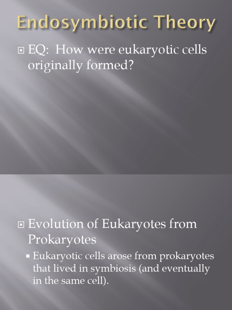 Endosymbiotic Theory PPT | PDF