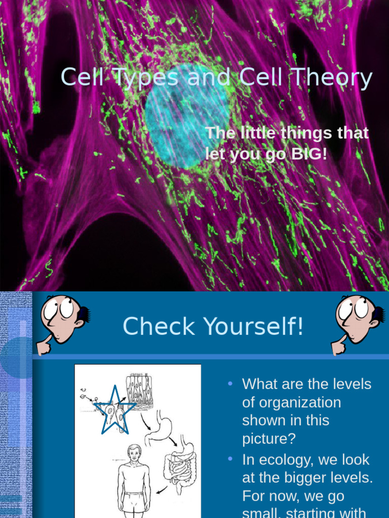Cell Types and Cell Theory NOTES | PDF