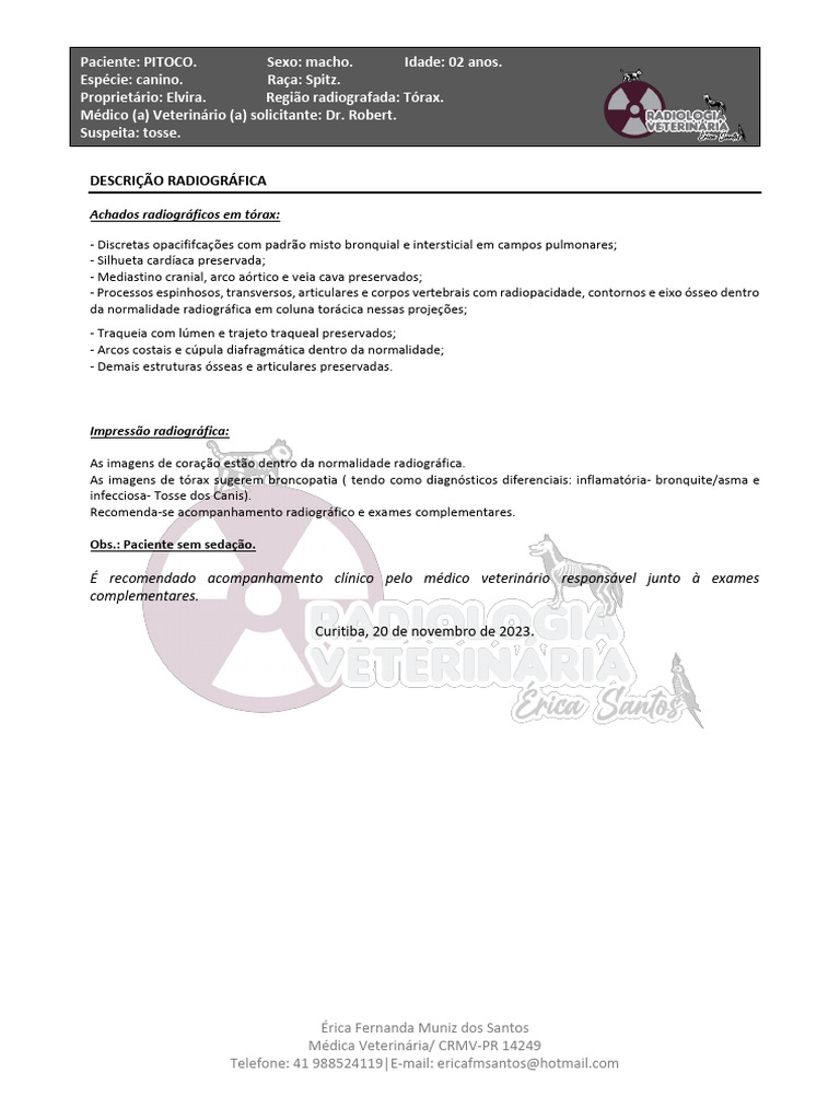 Laudo - PITOCO - SPITZ - ELVIRA - ZOOPOPULAR - Torax RAIO X | PDF