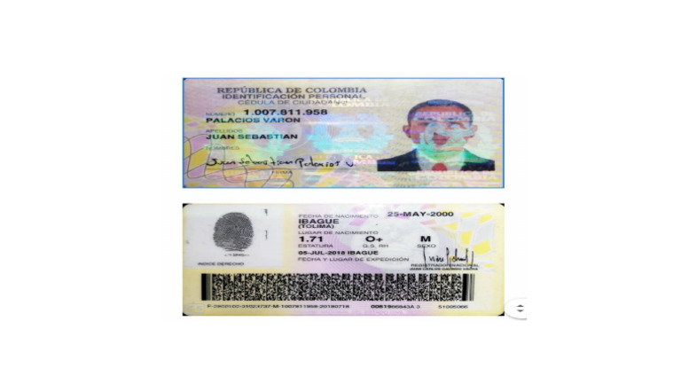 Cedua Sebastian | PDF