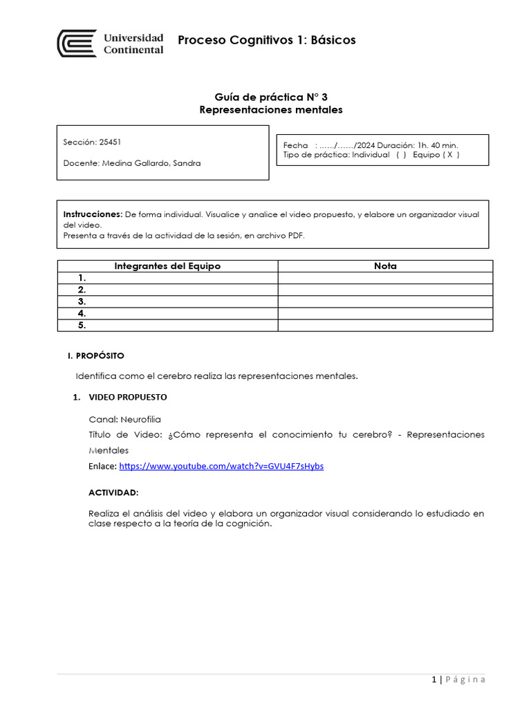 Guia Pract. 3 - P.cognitivos Basicos | PDF