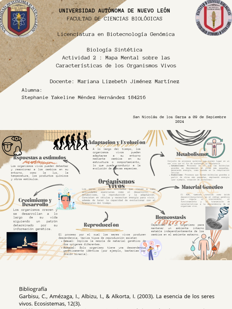 Actividad2 SYMH | PDF
