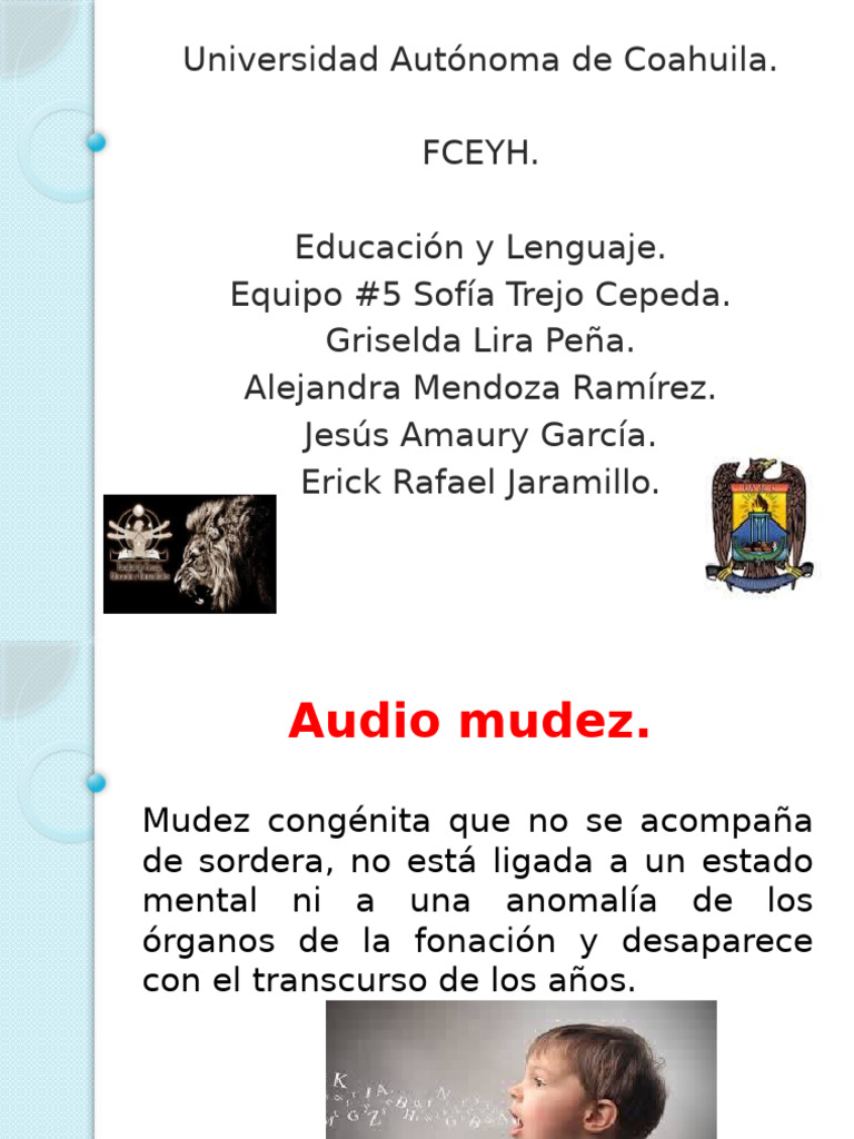Audio Mud Ez | PDF