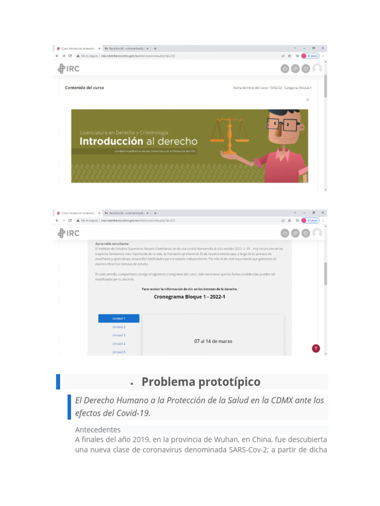 U1 Las Distintas Concepciones Del Derecho | PDF