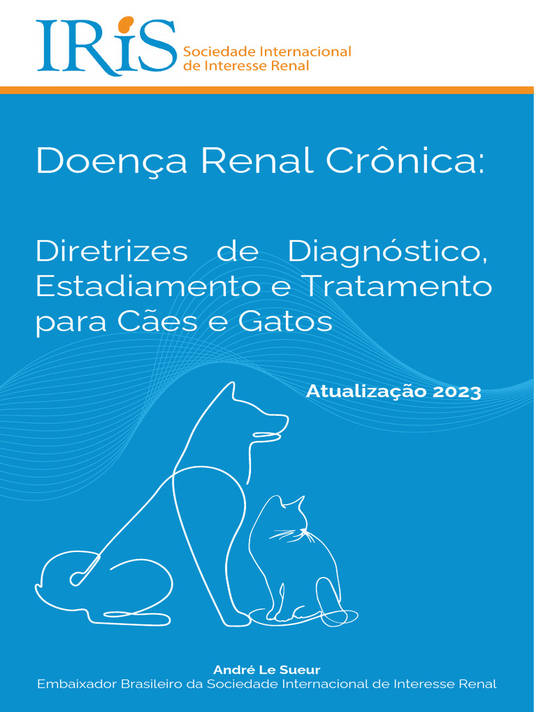 Iris DRC 2023 - PT | PDF