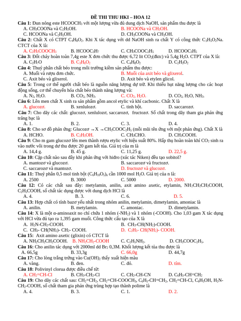 Đề Thi Thu Hki Đapan | PDF