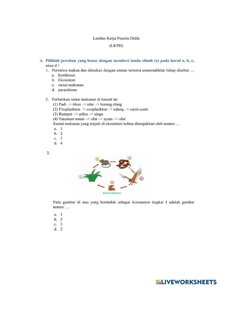 Soal Rantai Makanan | PDF