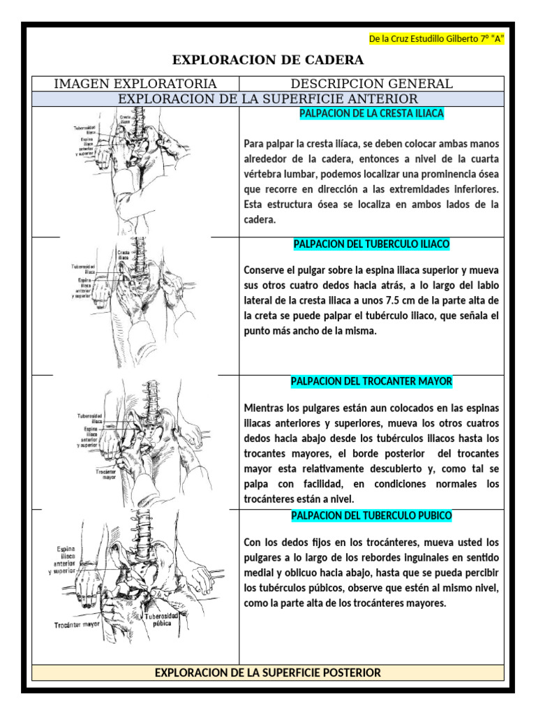 Exploracion de Cadera y Pelvis | PDF