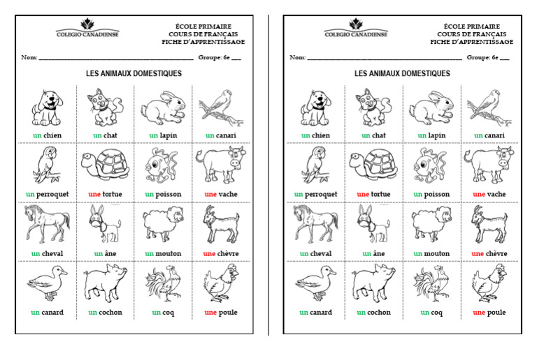 Fiches Animaux Domestiques 4 | PDF