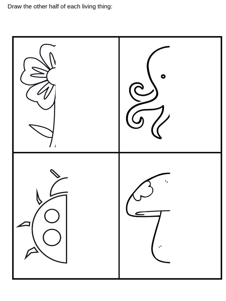 STEM, Grade 1, Living Things External Features | PDF