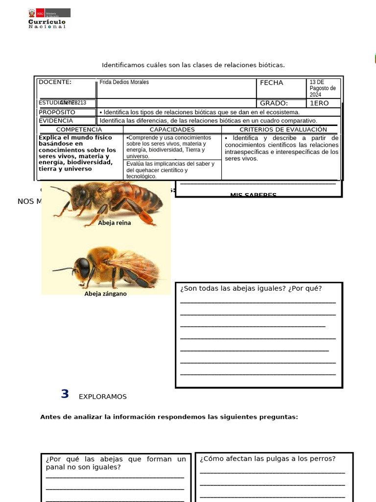 B-1º Act 3 Cyt Und 5 - Sem 2 | PDF