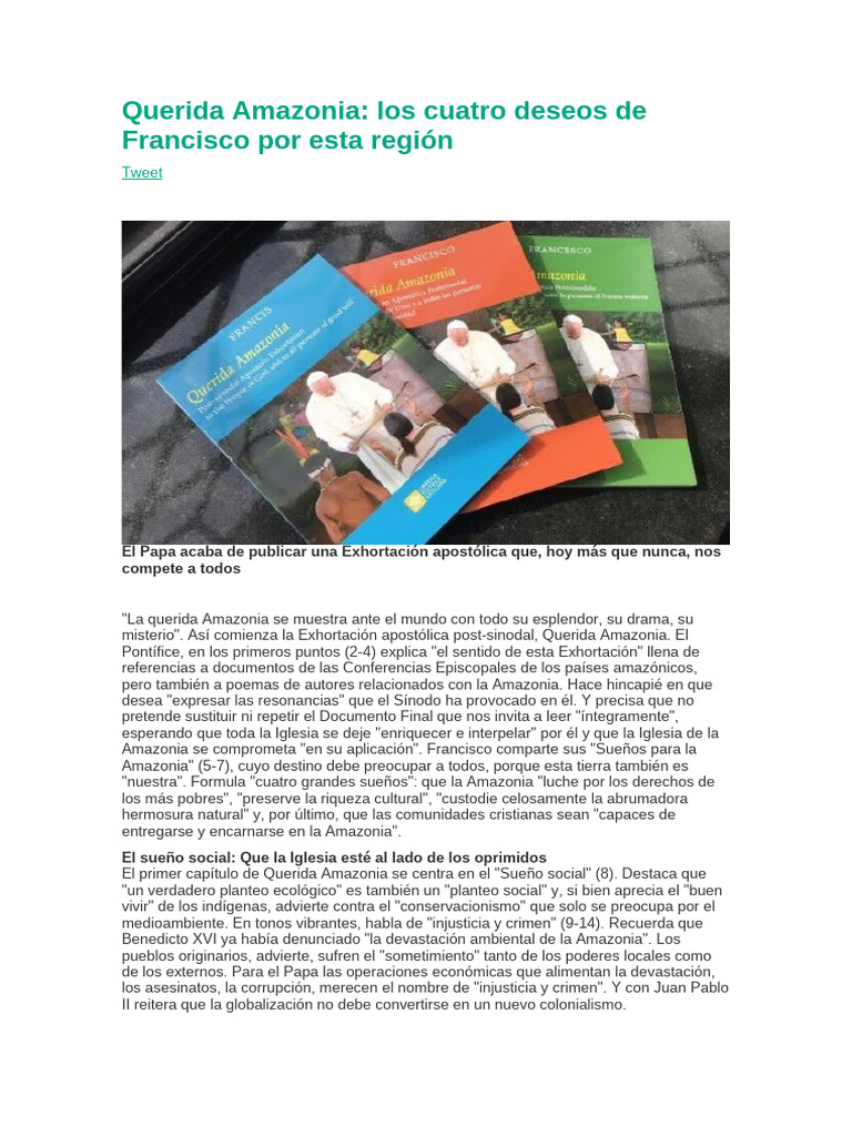 Querida Amazonia | PDF