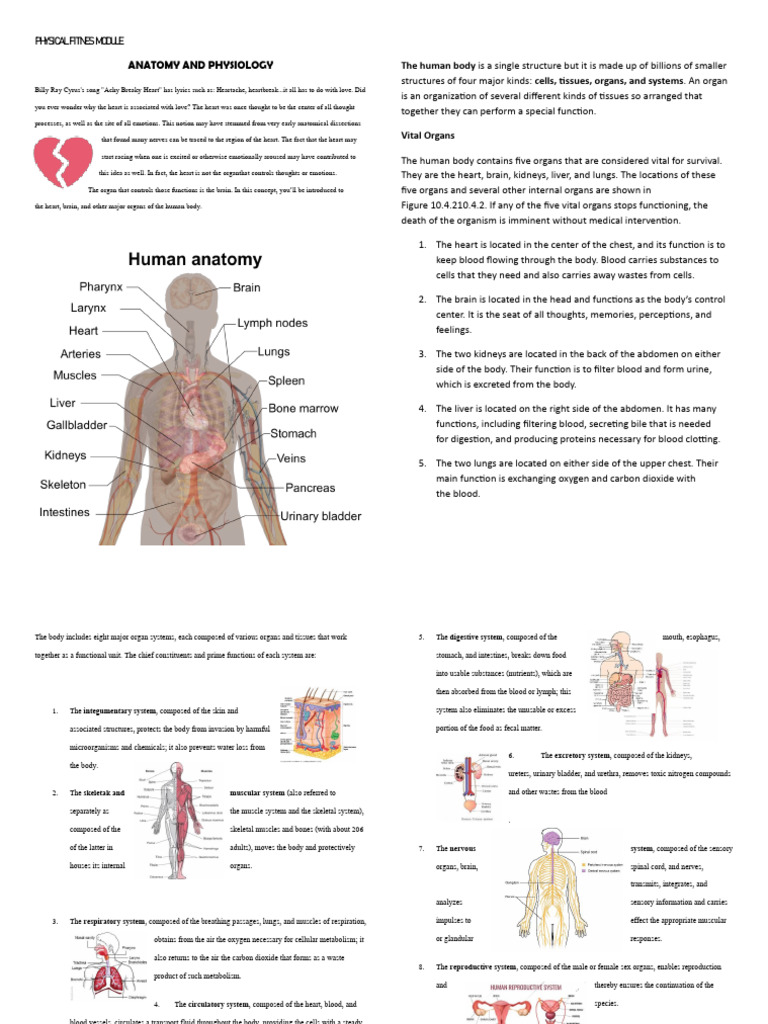 PHYSICAL FITNES MODULE- THE HUMAN BODY | PDF