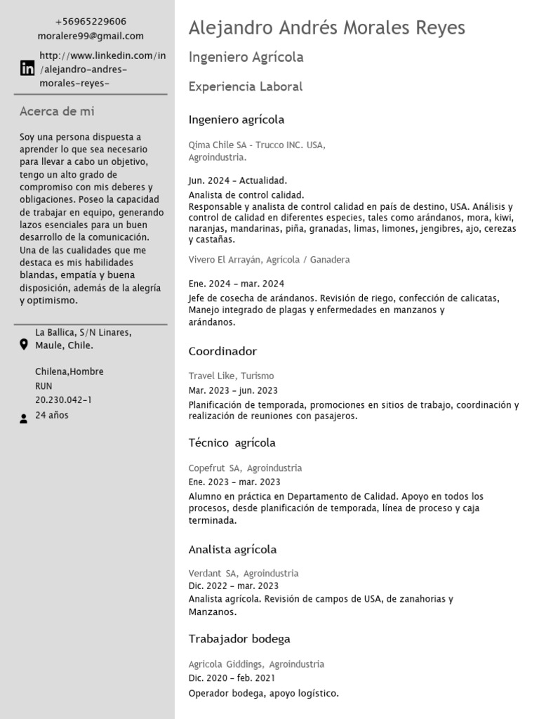 CV - Alejandro Andres Morales Reyes | PDF