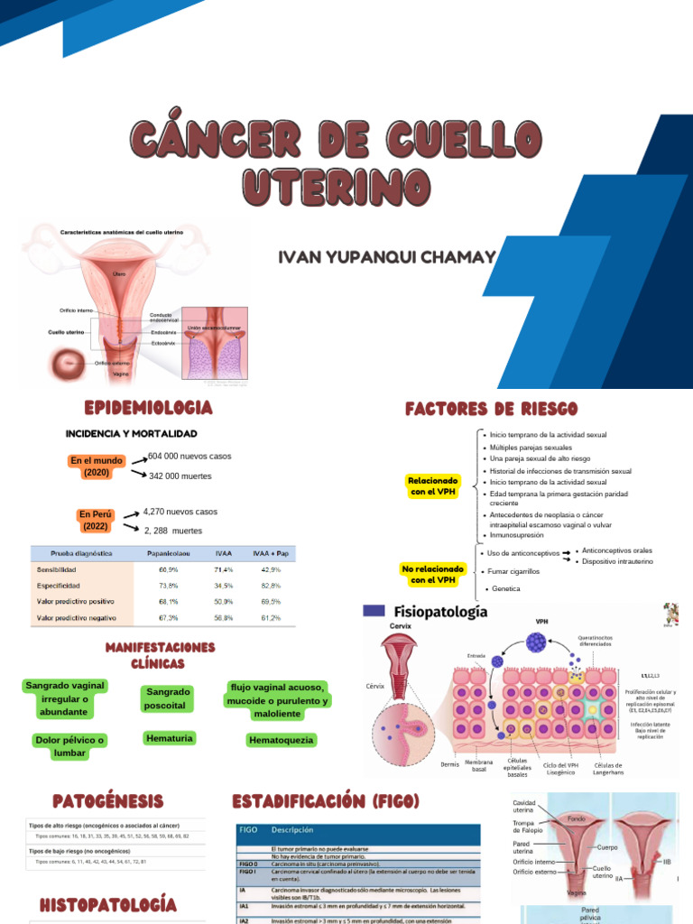 Cancer de Cuello Uterino | PDF