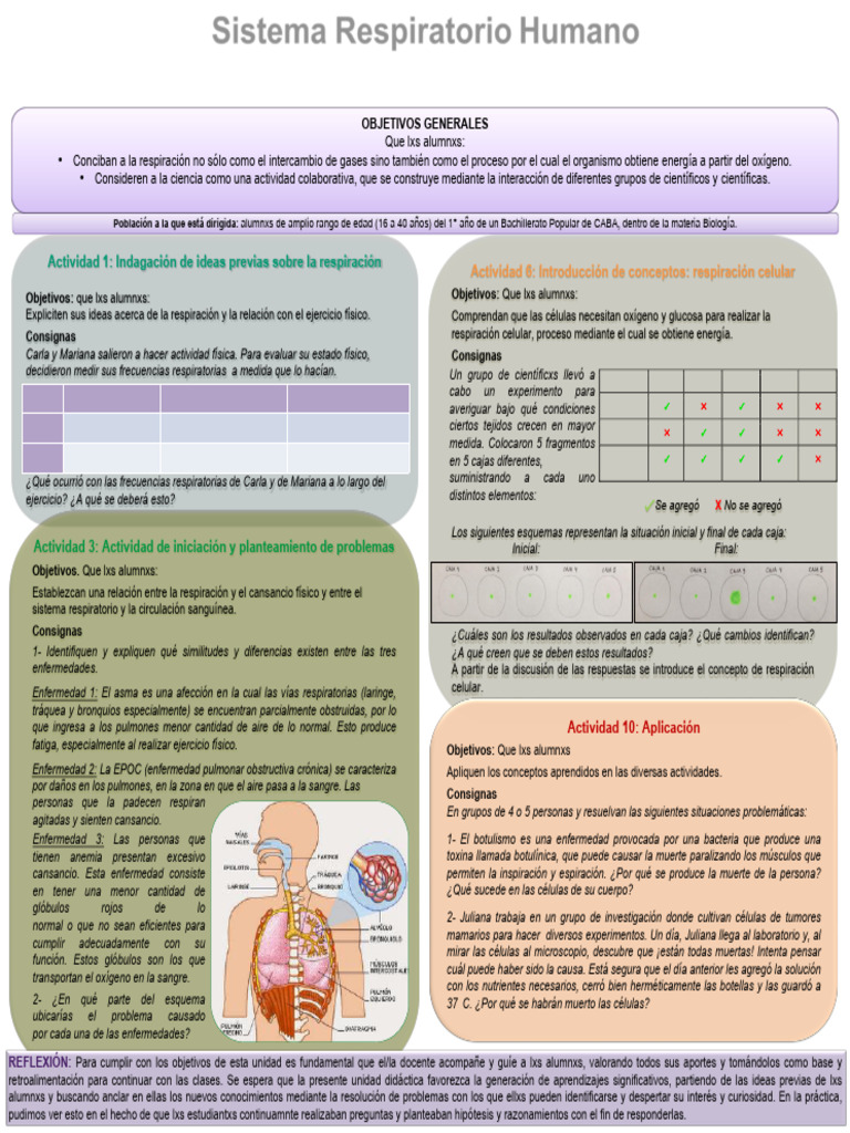 Póster Sistema Respiratorio Humano. Jiménez, Melián y Sanchez | PDF