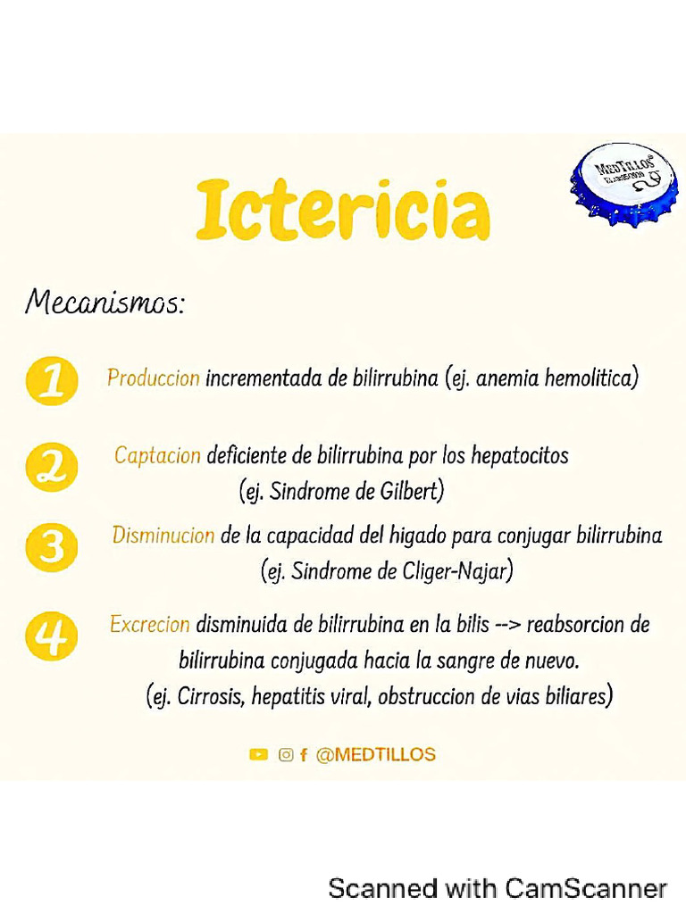 Ictericia | PDF
