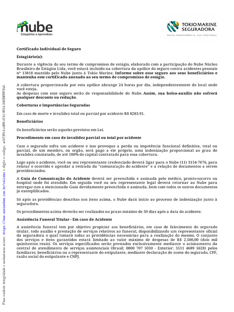 Tce Rayssa Silva | PDF