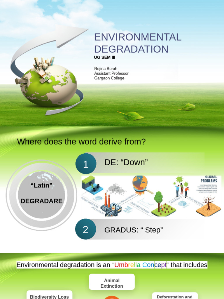Environmental Degradation | PDF | Environmental Degradation | Deforestation