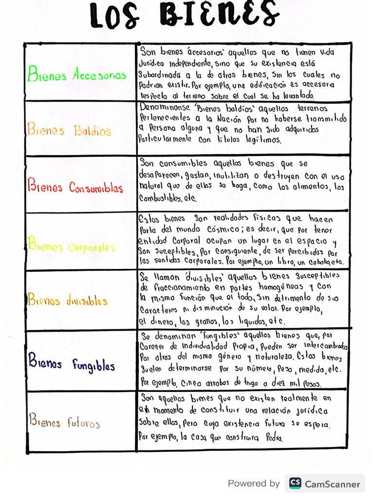 Bienes - Yuriam Vera | PDF