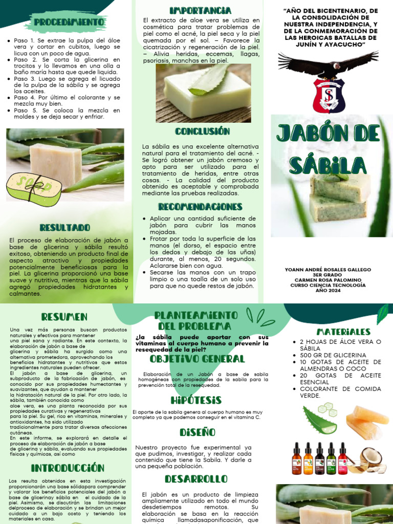 Jabon de Sabila | PDF