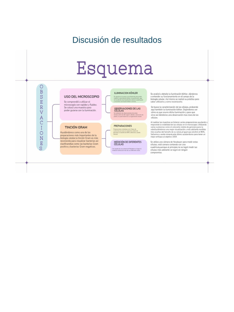Discusión de Resultados | PDF
