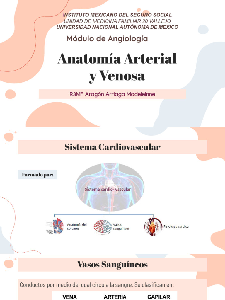 Anatomía y Fisiología Arterial y Venosa | PDF