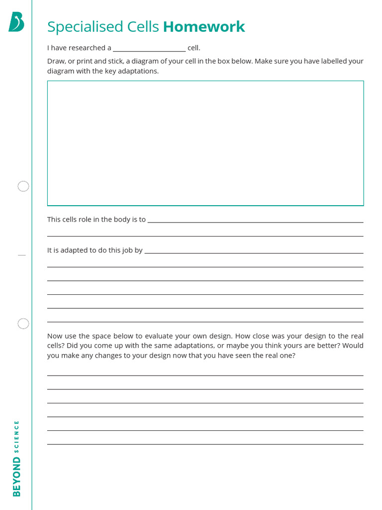 Specialised Cells Homework Worksheet | PDF