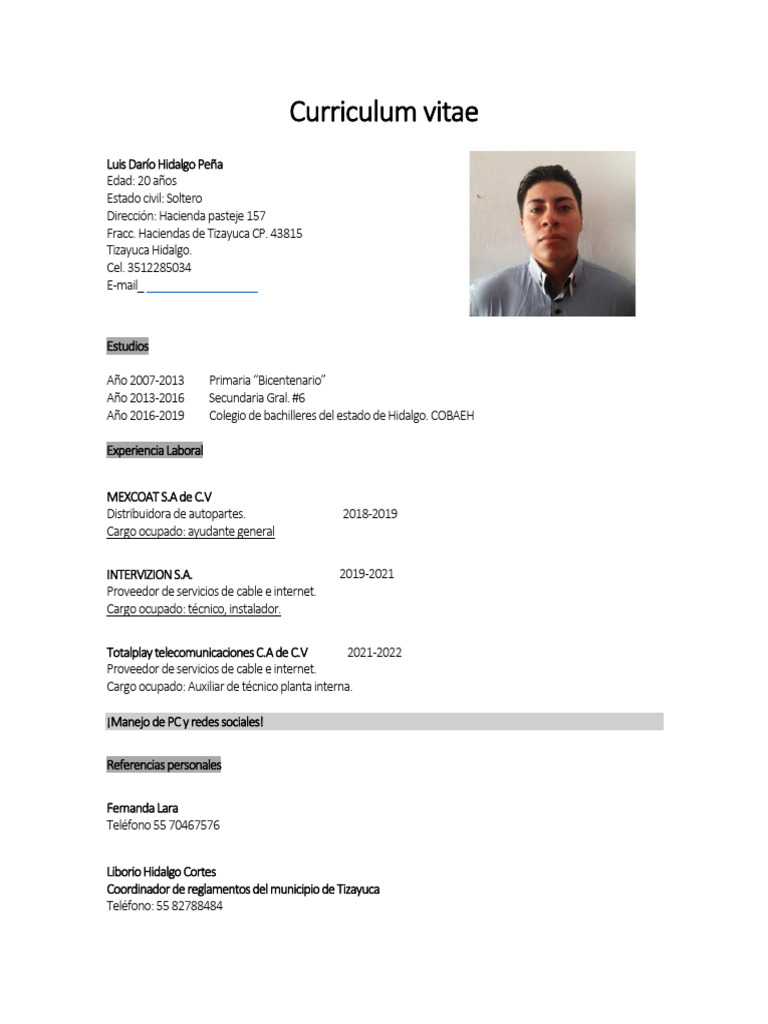 Curriculum vitae luis | PDF