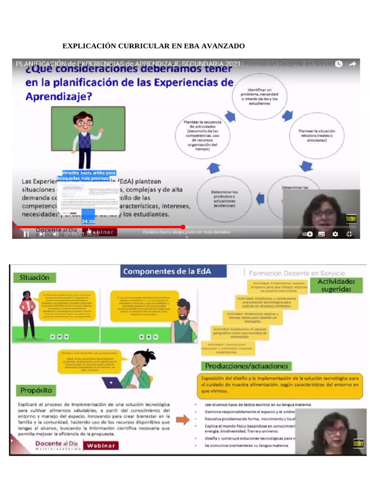 Explicación Curricular en Eba Avanzado | PDF